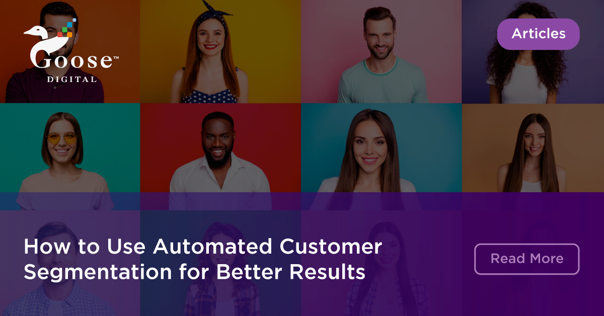 How To Use Automated Customer Segmentation For Better Results Goose